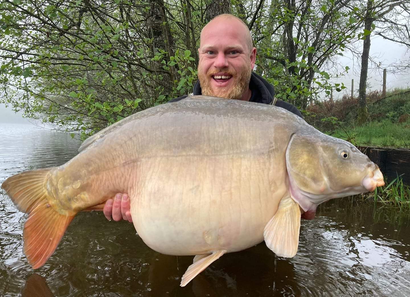 Quiet night but 2 big 50s this morning – Lac Charmant-Top Carp France