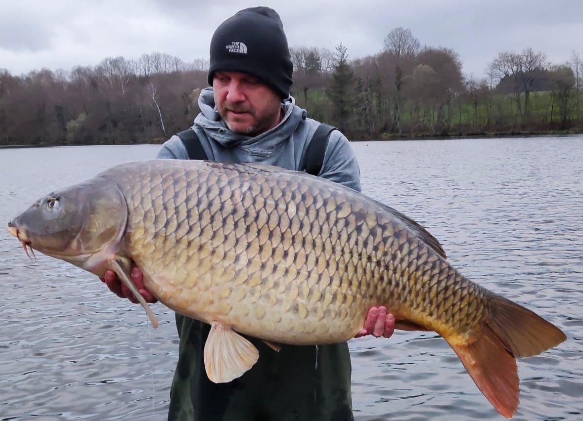Lots of fish coming out to over 60lb – Lac Charmant-Top Carp France
